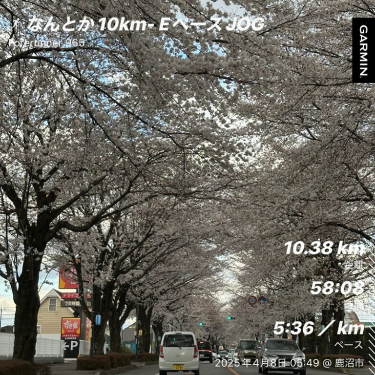 【週刊すずRUN vol.23】いよいよ本番2週間前！調整練習2周目！今回はちゃんと走ったのか？【練習記録20250407～20250413】 | 僕がキャンプを始めたワケ