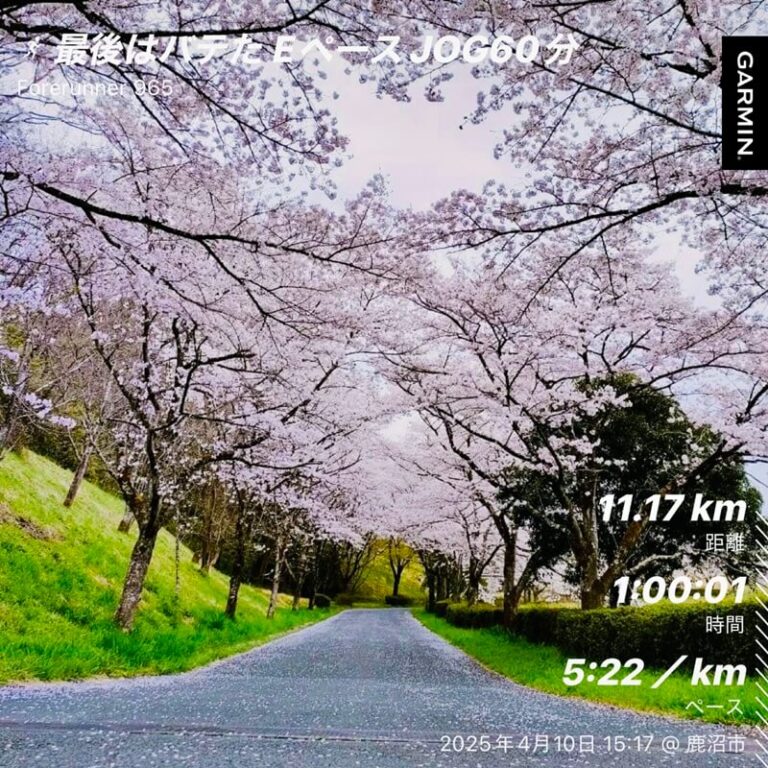 【週刊すずRUN vol.23】いよいよ本番2週間前！調整練習2周目！今回はちゃんと走ったのか？【練習記録20250407～20250413】 | 僕がキャンプを始めたワケ